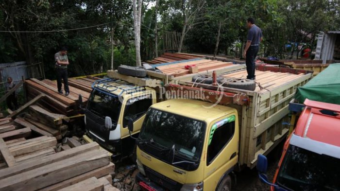 Foto-foto Tim Gabungan Mabes Polri Sita Ratusan Kubik Kayu - Tribunpontianak.co.id