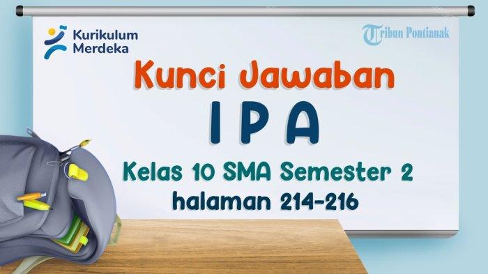 Kunci Jawaban IPA Kelas 10 SMA Halaman 214-216 Semester 2, Kurikulum Merdeka - Tribunpontianak.co.id