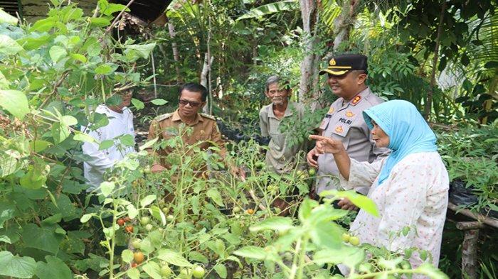 Gapoktan Teluk Keramat Sambas Ajak Warga Tanam Sayur di Pekarangan - Tribunpontianak.co.id