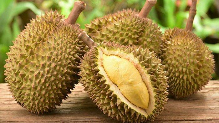 Apa Saja Aneka Olahan Durian ? Dari Lempok Durian , Tempoyak , Pancake ...