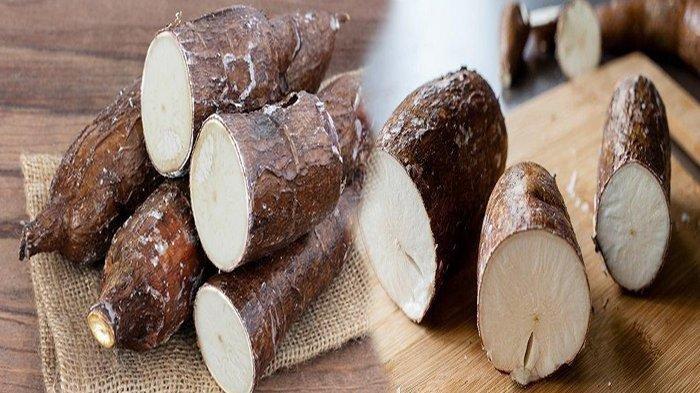 Ubi Kayu Dapat Turunkan Tekanan Darah, Ini 4 Manfaat Luar Biasa ... Ubi Kayu Dapat Turunkan Tekanan Darah, Ini 4 Manfaat Luar Biasa ...
