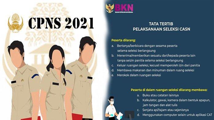 UPDATE CPNS 2021, Kapan CPNS Dibuka Kembali 2021? - Tribunpontianak.co.id