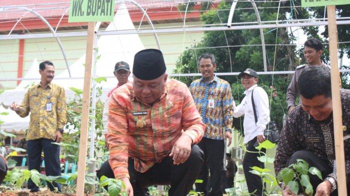 Peta Sawah Milik Petani di Kabupaten Mempawah Bertambah Seluas 2000 ...