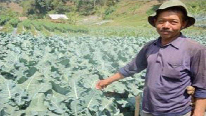 Yuk Ikuti Program Petani Milenial 2024, Gajinya Hingga Rp 10 Juta Per Bulan, Ini Cara Daftarnya ...