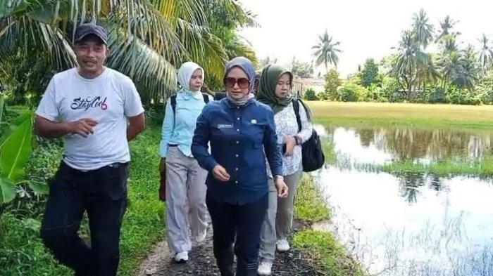 Bupati Citra Pitriyami Langsung Turun, Cek Lokasi Sawah Terendam Air ...