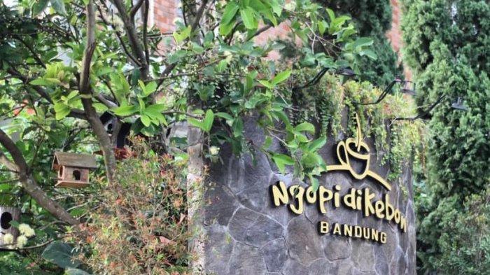 Rekomendasi Liburan Akhir Tahun di Bandung, Cafe Ngopi Di Kebon dengan ...