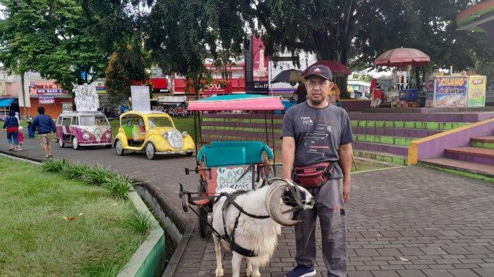 Berkeliling Taman Alun-alun Ciamis dengan Delman Domba - Tribunpriangan.com