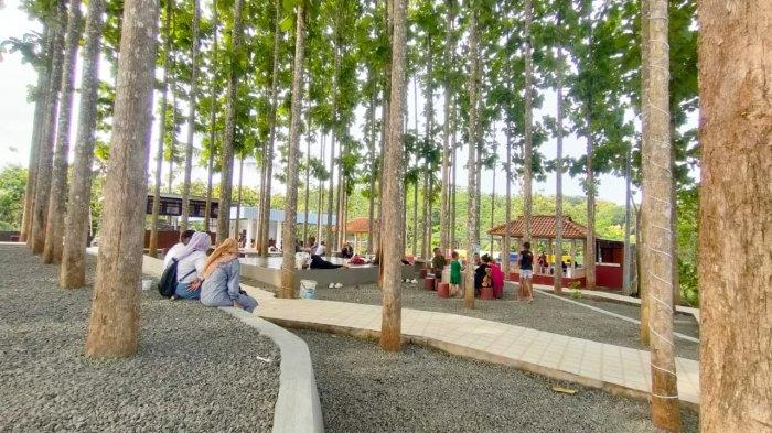 Menikmati Sunset di Japlak Kalipucang, Objek Wisata Baru di Pangandaran ...