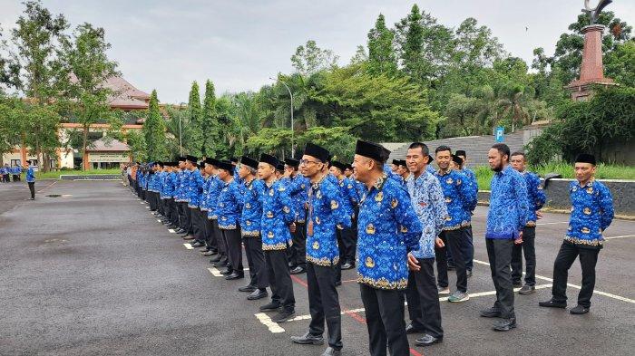 Pppk 2024 Segera Dibuka Ini Jadwal Bkn Untuk 2 Kriteria Peserta Ini