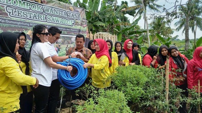 Sektor Pertanian Indonesia Terus Tumbuh, KWT Lestari Sawargi Tasikmalaya Dapat Bantuan Alat Tani ...