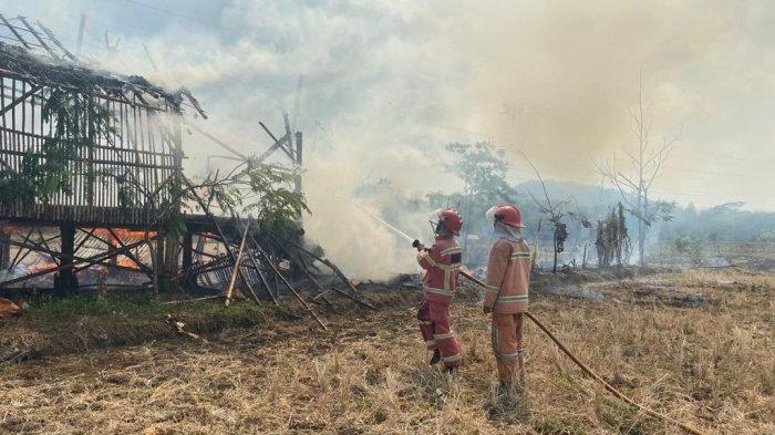 Kandang Ayam Kosong di Pamarican Ciamis Terbakar, Pemilik Alami Kerugian Rp 50 juta ...