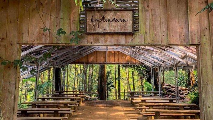 Kopi Sarasa, Rasakan Sensasi Cafe di Tengah-Tengah Hutan Pinus di ...