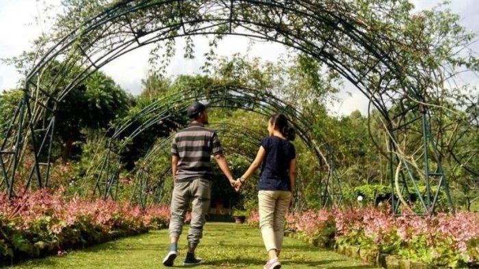 Yuk Ngabuburit di Kebun Mawar Situhapa Garut, Banyak Spot Instagramable ...