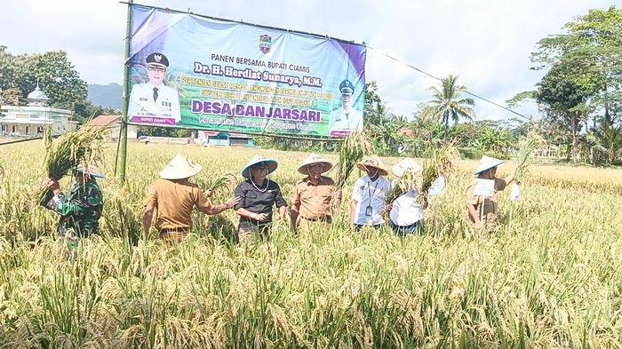 Pelatihan Pertanian Sehat Ramah Lingkungan Berkelanjutan, Ciamis Dorong Pertanian Organik ...