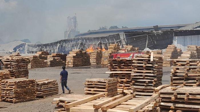 VIDEO - Pabrik Pengolahan Kayu di Ciamis Terbakar Hebat, 8 Mobil Pemadam Dikerahkan ...