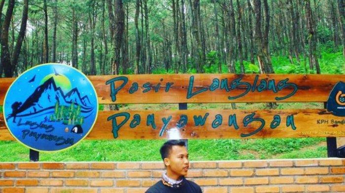 Yuk Camping Dengan View Hutan Pinus Hanya di Pasir Langlang Panyawangan Purwakarta ...