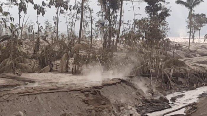 Update Erupsi Gunung Semeru, 9 Letusan hingga Pergerakan Lahar Dingin ...