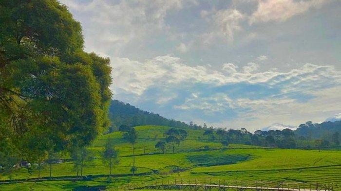 Wajib Dicoba! Sensasi Alam Sky Walk Riung Gunung Pangalengan yang ...