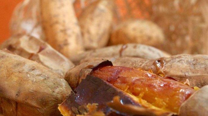 Yuk Bikin Ubi Cilembu Bakar Khas Puncak Bogor, Manis dan Lembutnya ...
