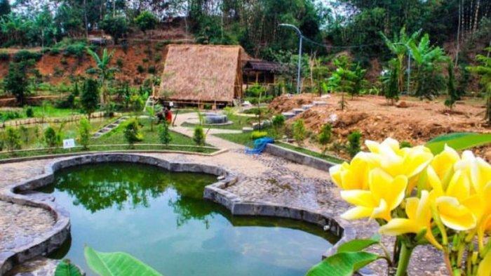 Yuk Kunjungi, Beragam Aktivitas Menyenangkan Bisa Dilakukan di Wetland ...