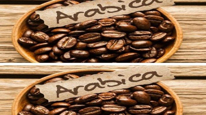 Daftar Harga Kopi Hari Ini, Jenis Arabica Mencapai Rp 300 Ribu ...