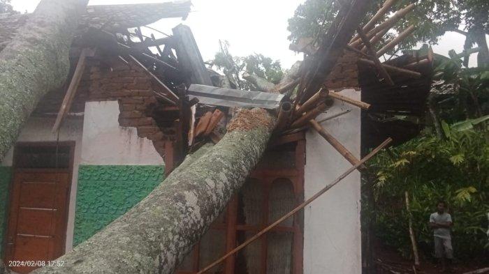 Atap Rumah Warga di Rancah Ciamis Rusak Tertimpa Pohon Tumbang, Imbas Hujan Deras-Angin Kencang ...