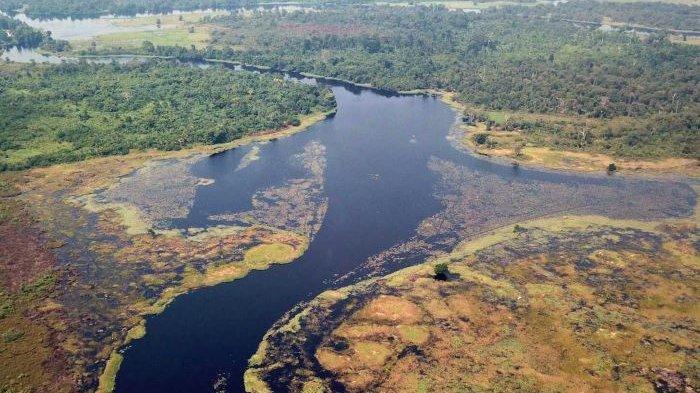 Seperti Apa Sungai dengan Air Paling Hitam di Dunia?, Begini Kata Pakar ...
