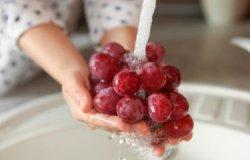 Ini Beragam Manfaat Buah Anggur Merah Bagi Kesehatan Tubuh - Prohaba.co