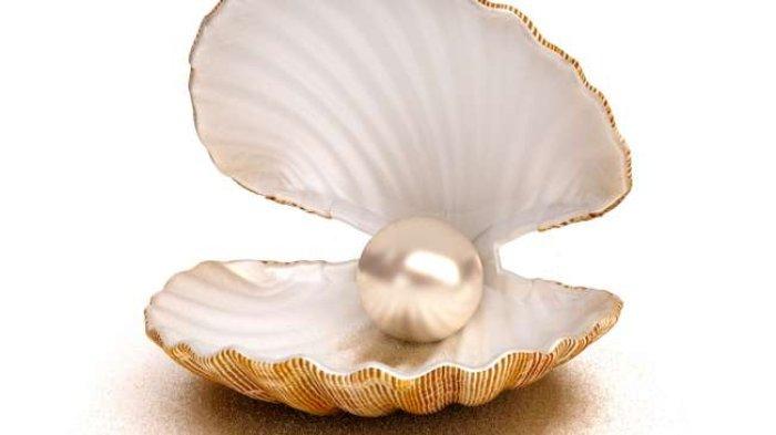 Bagaimana Mutiara Bisa Muncul di Dalam Tiram? - Prohaba.co