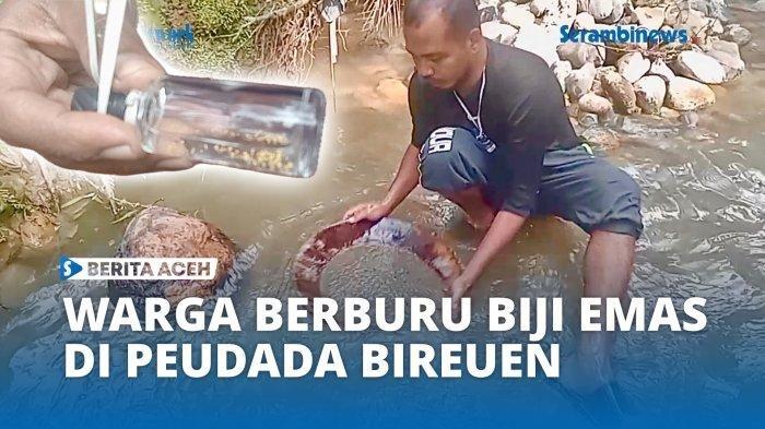 KARAP KAYA, Warga Berburu Biji Emas di Aliran Krueng Bugeng - Prohaba.co