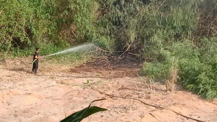 Kebakaran Lahan Kembali Terjadi di Aceh Besar, Ini Imbauan Kalaksa BPBD ... Kebakaran Lahan Kembali Terjadi di Aceh Besar, Ini Imbauan Kalaksa BPBD ...