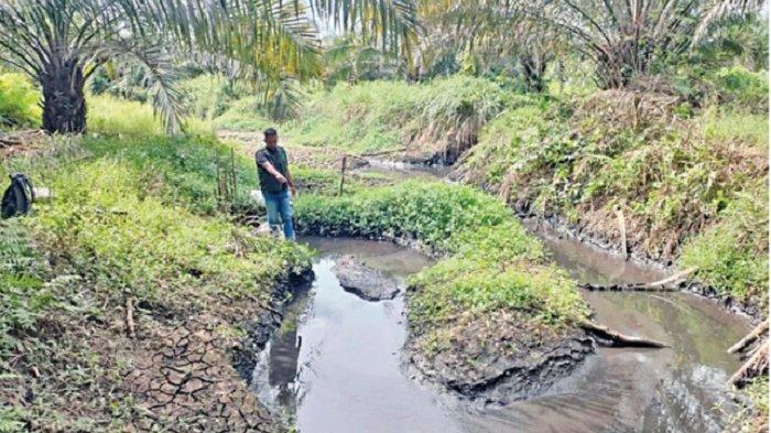 Limbah Pabrik Kembali Cemari Krueng Trang DLH Langsung Turun ke Lokasi ...