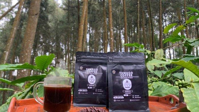 Lewat Kopi, Mahasiswa KKN USD Dorong Terciptanya Lapangan Kerja ...