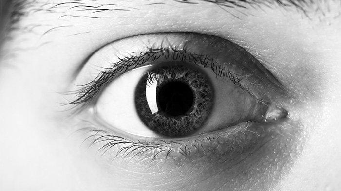 Ini Penyakit Mata yang Umum Terjadi Tapi Jarang Diketahui, Simak Penjelasan Berikut - Prohaba.co