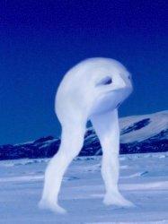 Ningen, Makhluk Misteri Antartika Setinggi 30 Meter Mirip Manusia ...