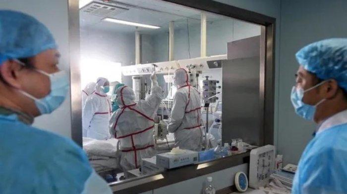 Wanita Cina Tewas karena Flu Burung H3N8, Kematian Pertama di Dunia - Prohaba.co