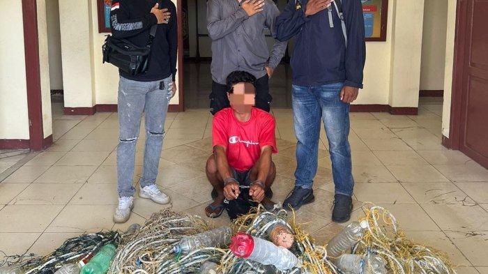 Kesal Akibat Hasil Panen Rumput Laut Dicuri, Petani di Pulau Sebatik ...