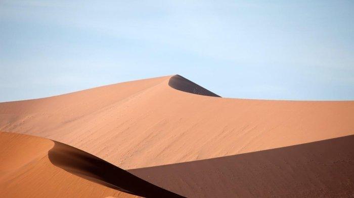 Gurun Sahara, Gurun Pasir Terbesar di Dunia yang Berada di Afrika ...