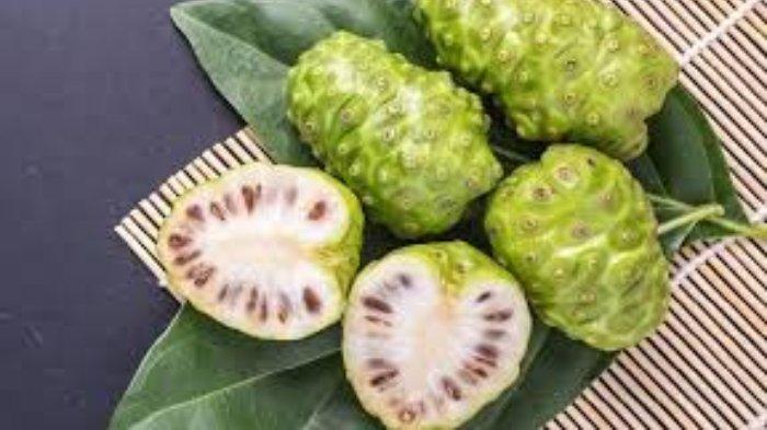 5 Manfaat Menarik dari Buah Mengkudu untuk Kecantikan, Bisa Sebagai ... 5 Manfaat Menarik dari Buah Mengkudu untuk Kecantikan, Bisa Sebagai ...
