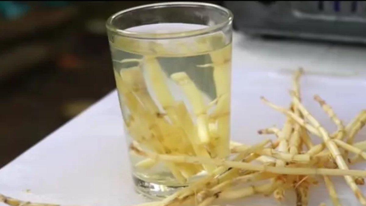 7 Manfaat Akar Alang-alang untuk Kesehatan, Salah Satunya Bisa ...