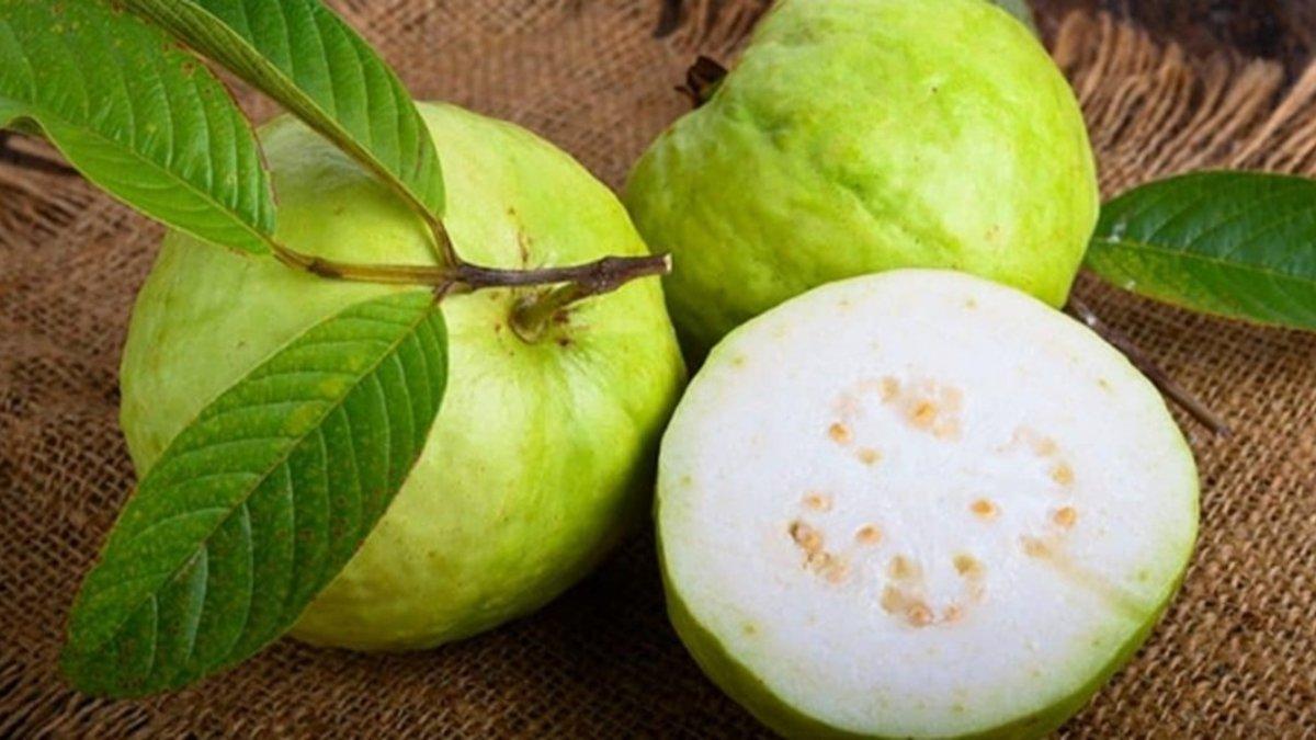 7 Manfaat Jambu Kristal untuk Kesehatan, Bisa Membantu Mengatasi Diare ...