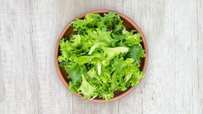 7 Manfaat Selada Air untuk Kesehatan Jika Dikonsumsi Secara Rutin ...