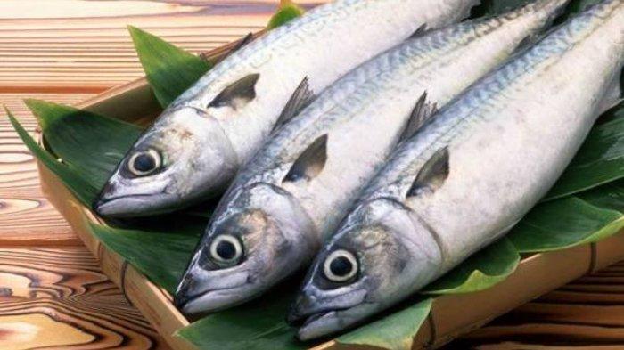 9 Jenis Ikan yang Sebaiknya Dihindari Penderita Asam Urat ...