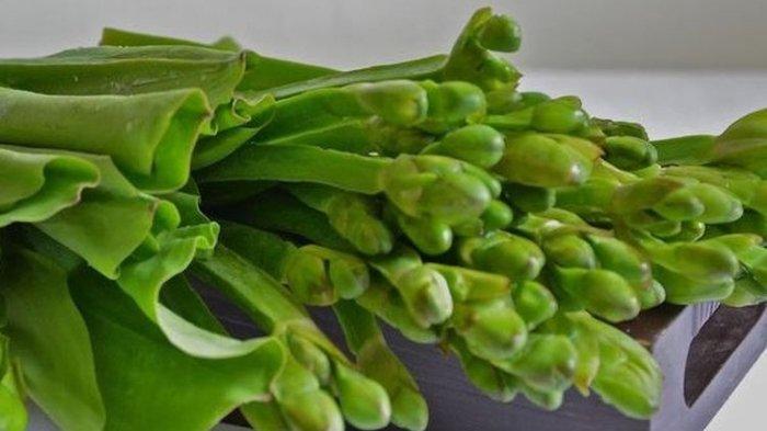 Daun Genjer Bukan Hanya Rasanya yang Lezat saat Ditumis, ini 9 ...