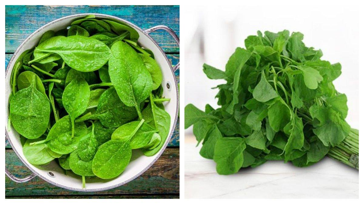 10 Khasiat Bayam untuk Kesehatan dan Kecantikan, Superfood yang Kaya ...