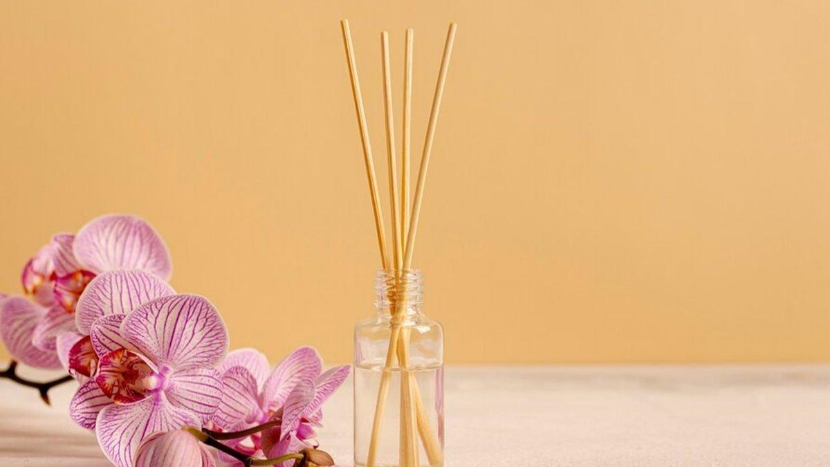 35 Daftar Reed Diffuser Terbaik, Desain Estetik dengan Keharuman yang ...