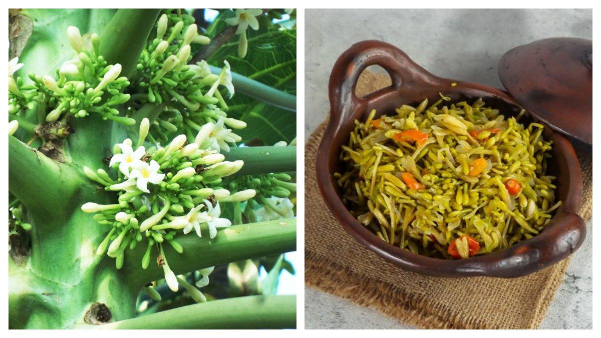 10 Khasiat Rutin Konsumsi Bunga Pepaya, Ampuh Melawan Radikal Bebas ...