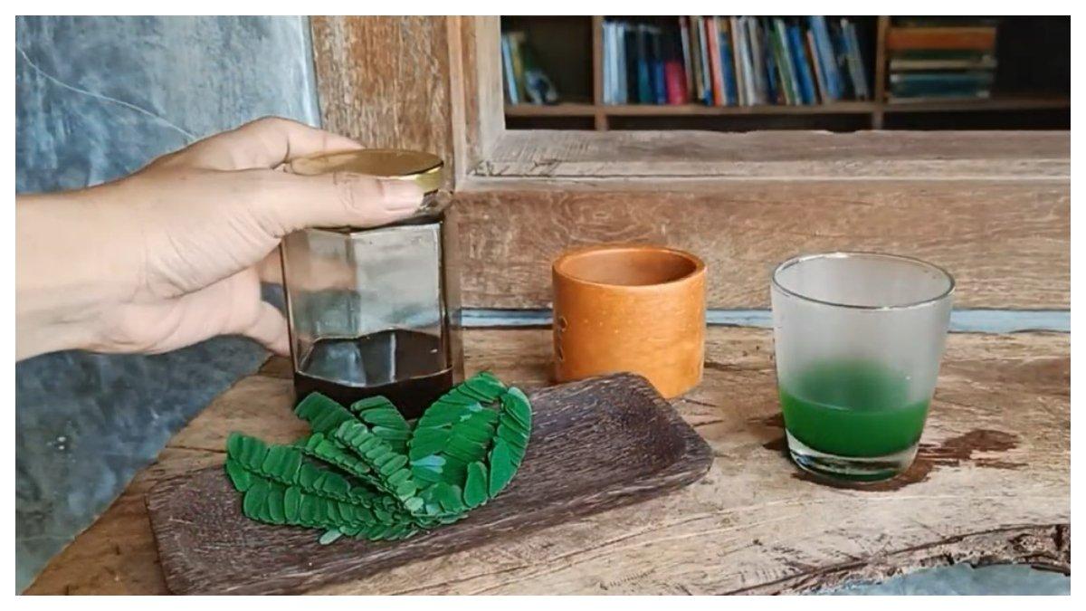 7 Khasiat Air Rebusan Daun Saga, Benarkah Sudah Dipercaya secara Turun ...