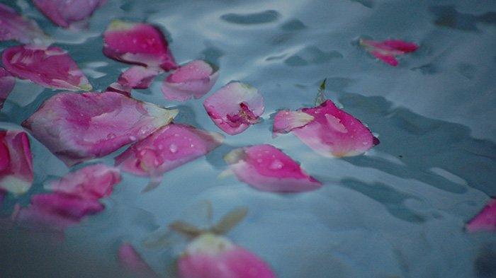 5 Rekomendasi Skincare dengan Kandungan Rose Water atau Air Mawar ...