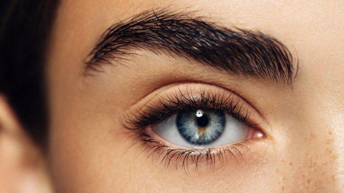 5 Bahan Alami Menebalkan Alis dan Cara Penggunaanya - Tribunshopping.com